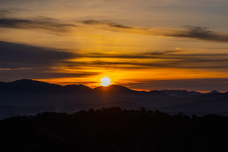 청룡의 해 '갑진년'...새해 '용의 기운' 받을 서울명소 5곳